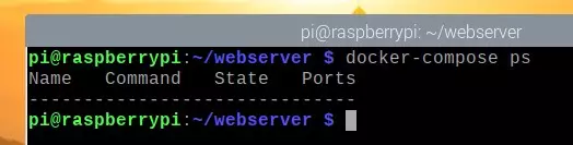 Raspberry Pi 4 жүйесіне Docker орнату әдісі 7682_60