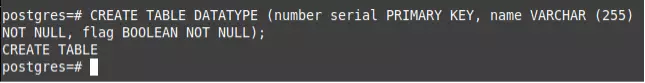 Pangkalahatang-ideya ng Mga Uri ng Data ng PostgreSQL 7818_6