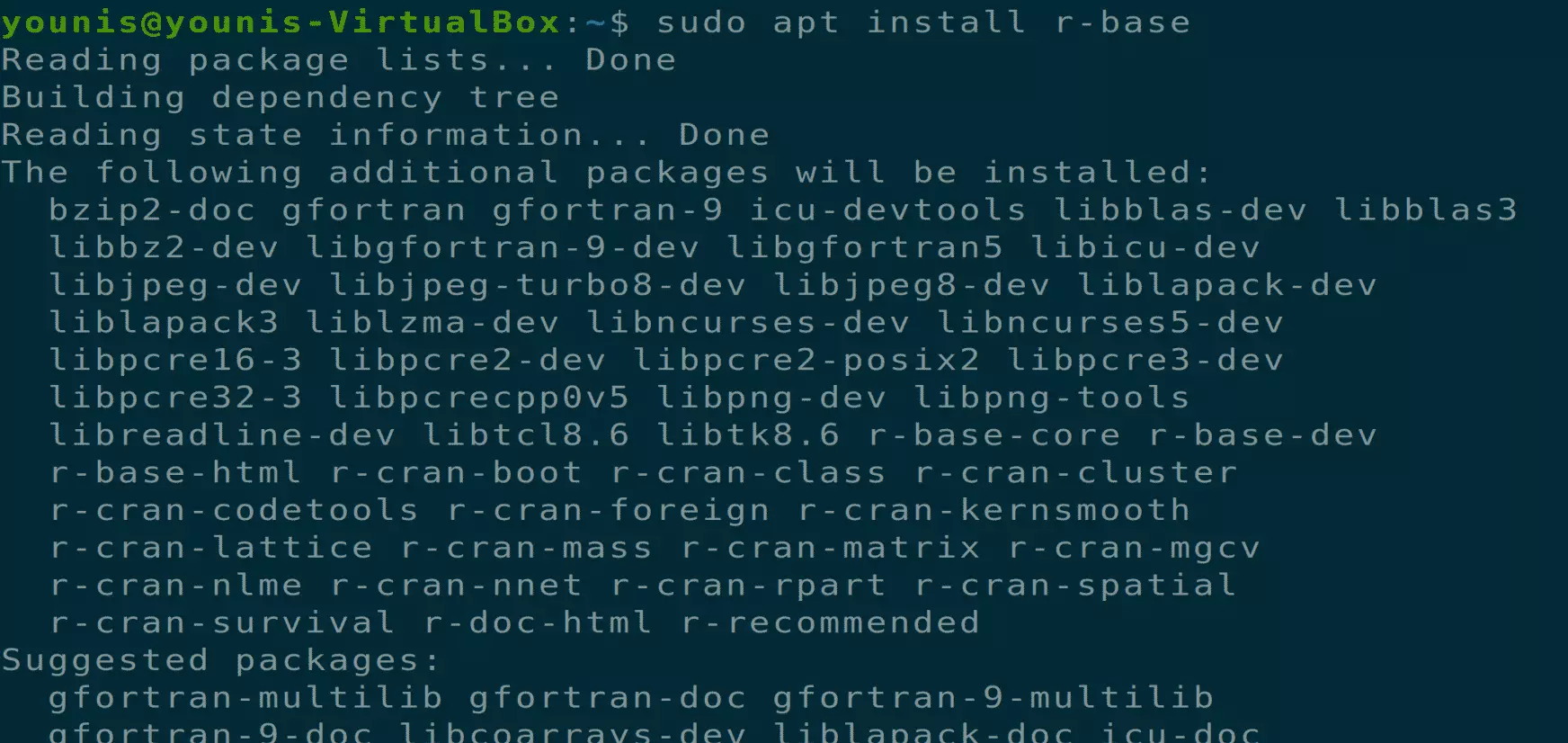 Kako instalirati R na Ubuntu 20.04 7837_6