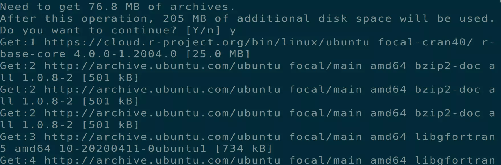 Hoe R te installeren op Ubuntu 20.04 7837_7