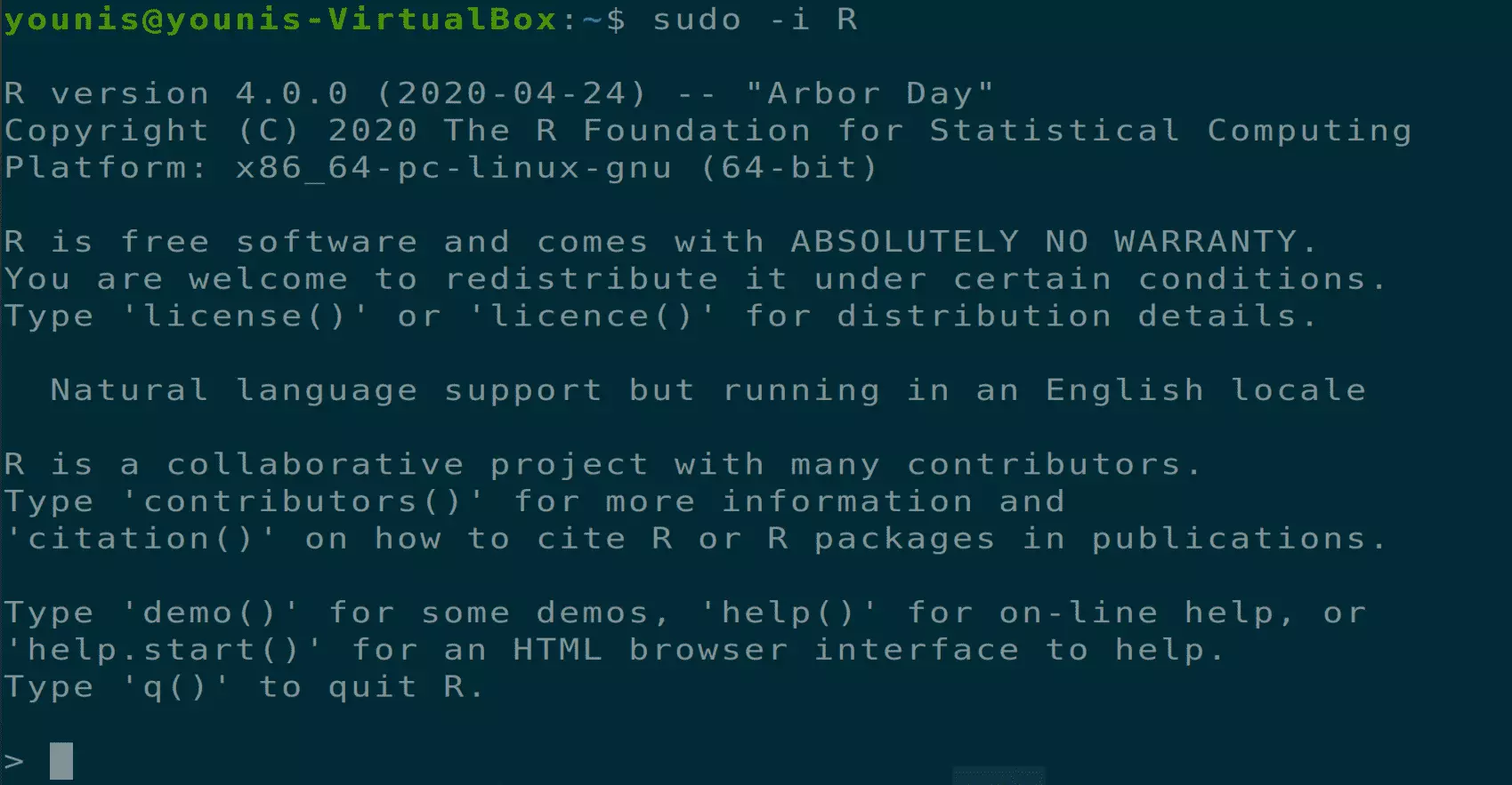 Sida loo rakibo R on Ubuntu 20.04 7837_8
