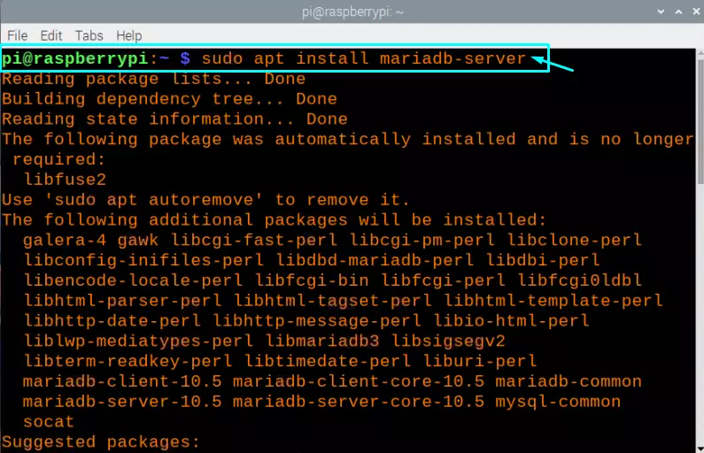 Raspberry Pi-ni shaxsiy veb-serverga qanday aylantirish mumkin 7966_11