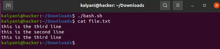 Bash Linux Redireksyon Operatè yo 797_5