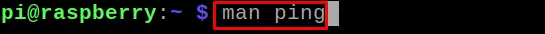 Htop ଏବଂ ping କମାଣ୍ଡ ବ୍ୟବହାର କରି ରାସବ୍ବାରୀ ପି କୁ କିପରି ସମାଧାନ କରିବେ | 8016_10