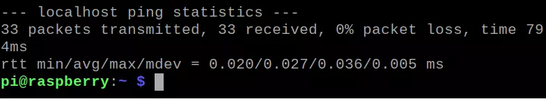 Htop ଏବଂ ping କମାଣ୍ଡ ବ୍ୟବହାର କରି ରାସବ୍ବାରୀ ପି କୁ କିପରି ସମାଧାନ କରିବେ | 8016_8