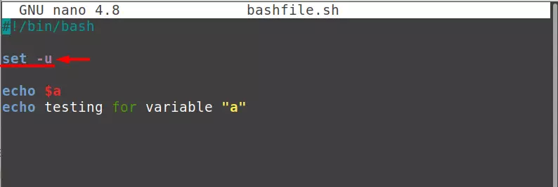 كيفية استخدام Set Command في Bash 801_13