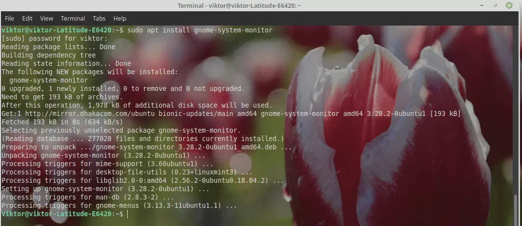 GNOME-Systemmonitor 8062_1
