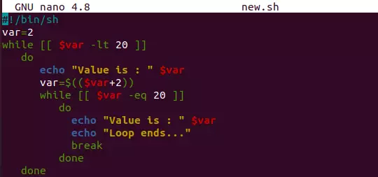 Hvernig á að gera Bash Nested While Loop 807_6