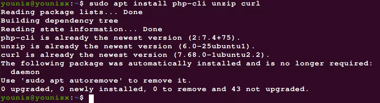 Kako instalirati i koristiti PHP Composer na Ubuntu 20.04 8105_3