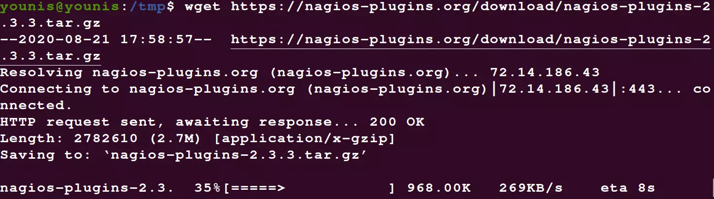 Yuav ua li cas rau nruab Nagios ntawm Ubuntu 20.04 8108_20