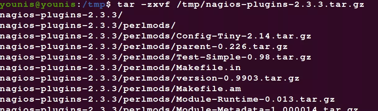 Yuav ua li cas rau nruab Nagios ntawm Ubuntu 20.04 8108_21