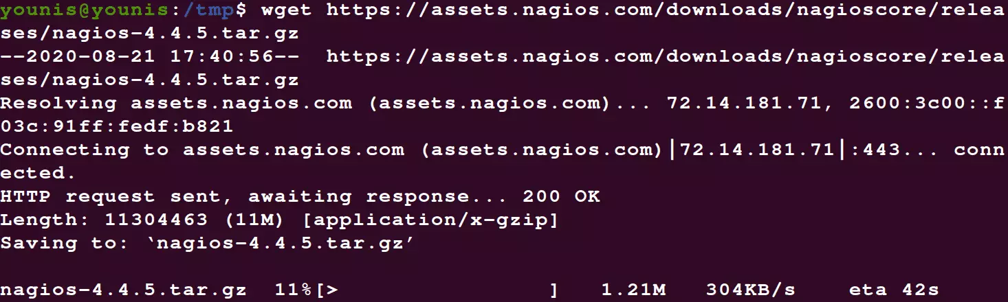 Yuav ua li cas rau nruab Nagios ntawm Ubuntu 20.04 8108_4