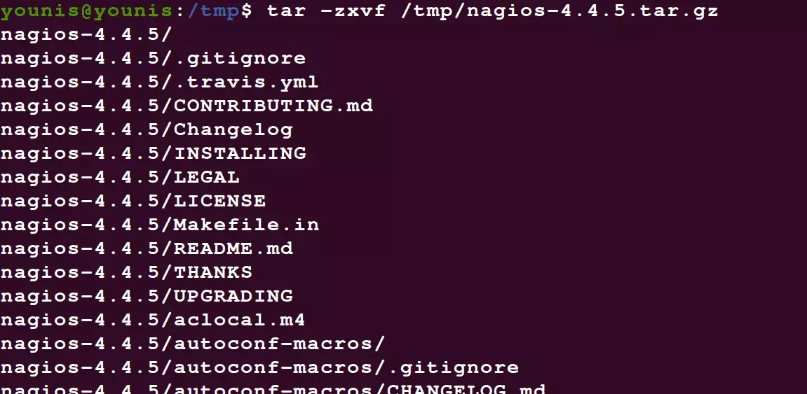 Meriv çawa Nagios li Ubuntu 20.04 saz dike 8108_5