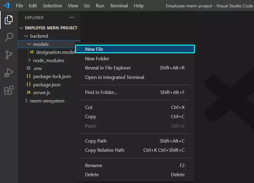 Node.js සේවාදායකයේ ආකෘති නිර්වචනය කරන්නේ කෙසේද 8202_7