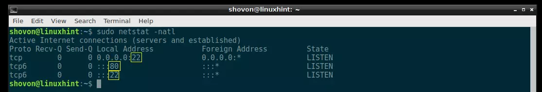 Linux에서 Netstat 명령을 사용하여 특정 포트를 확인하는 방법 8227_18