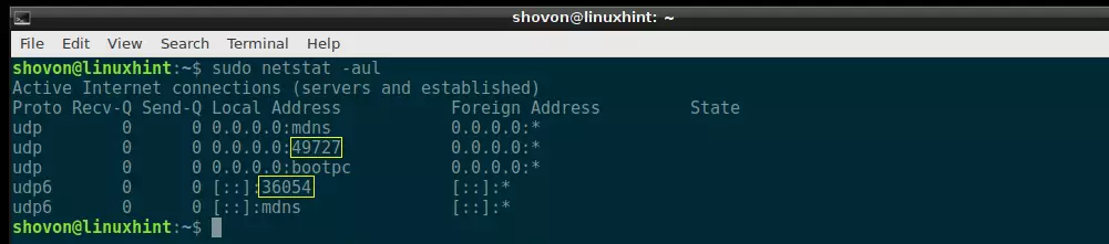 Linux에서 Netstat 명령을 사용하여 특정 포트를 확인하는 방법 8227_22