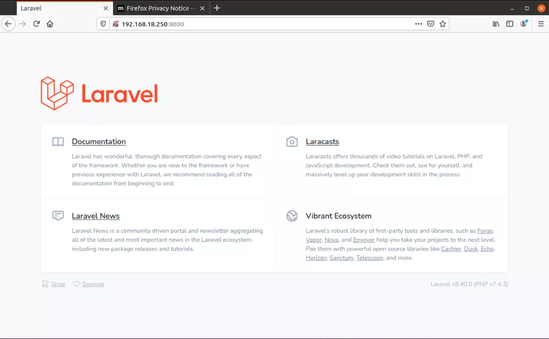 Kako instalirati Laravel PHP Framework sa Nginxom na Ubuntu 20.04 8238_32