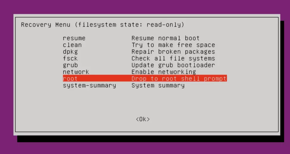 Kuinka ottaa automaattinen kirjautuminen käyttöön Ubuntu 20.04:ssä? 8271_13