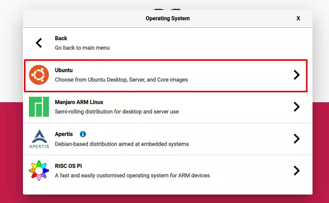 Conas Freastalaí Ubuntu 22.04 LTS a shuiteáil ar Raspberry Pi 4 8278_4