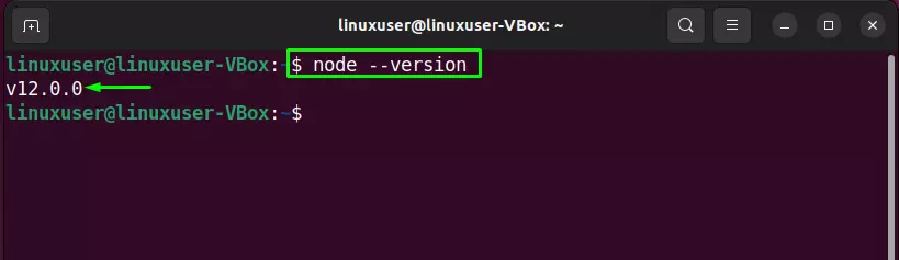 Як усталяваць Node.js і Npm на Ubuntu 22.04 8293_16