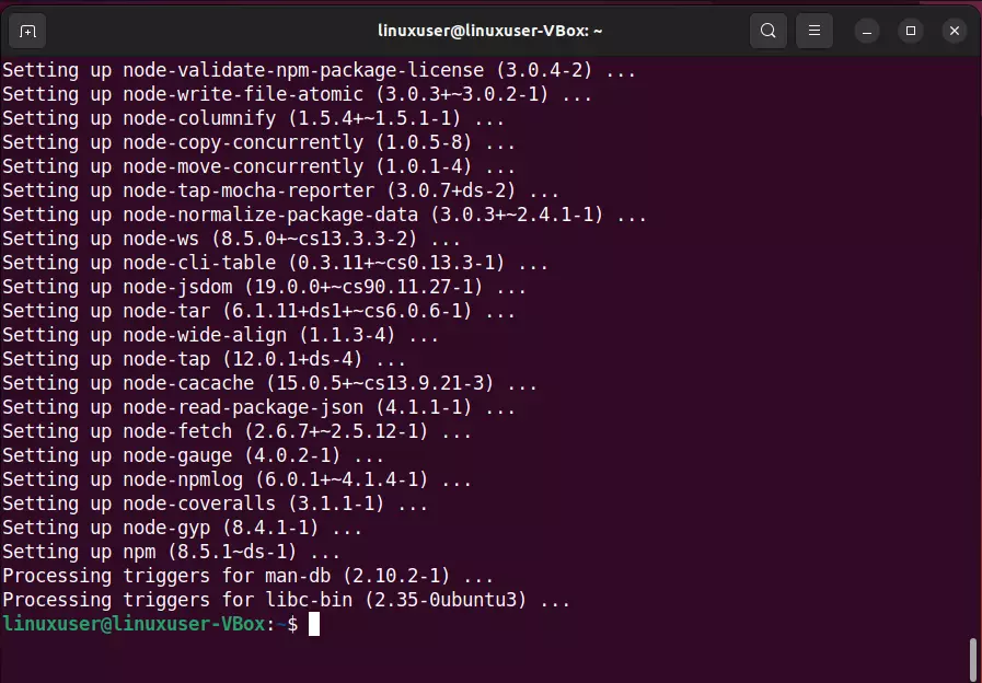 Kako instalirati Node.js i Npm na Ubuntu 22.04 8293_3