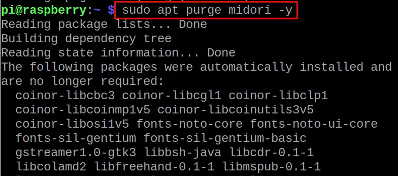 Kiel instali Midori-Retumilon sur Raspberry Pi 835_5