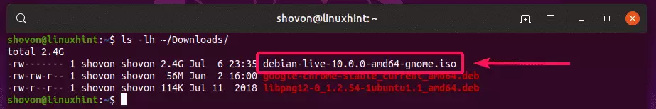 Debian 10 gurmak üçin “Debian 10” bootable USB Thumb Drive döretmek 8386_21