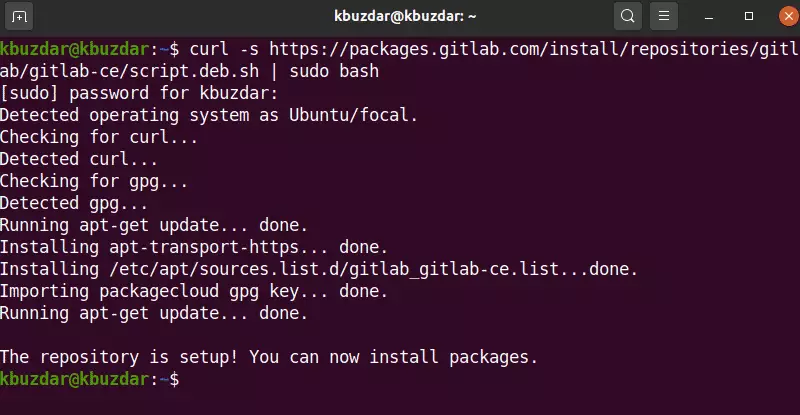 Ynstallearje GitLab op Ubuntu 20.04 8396_3