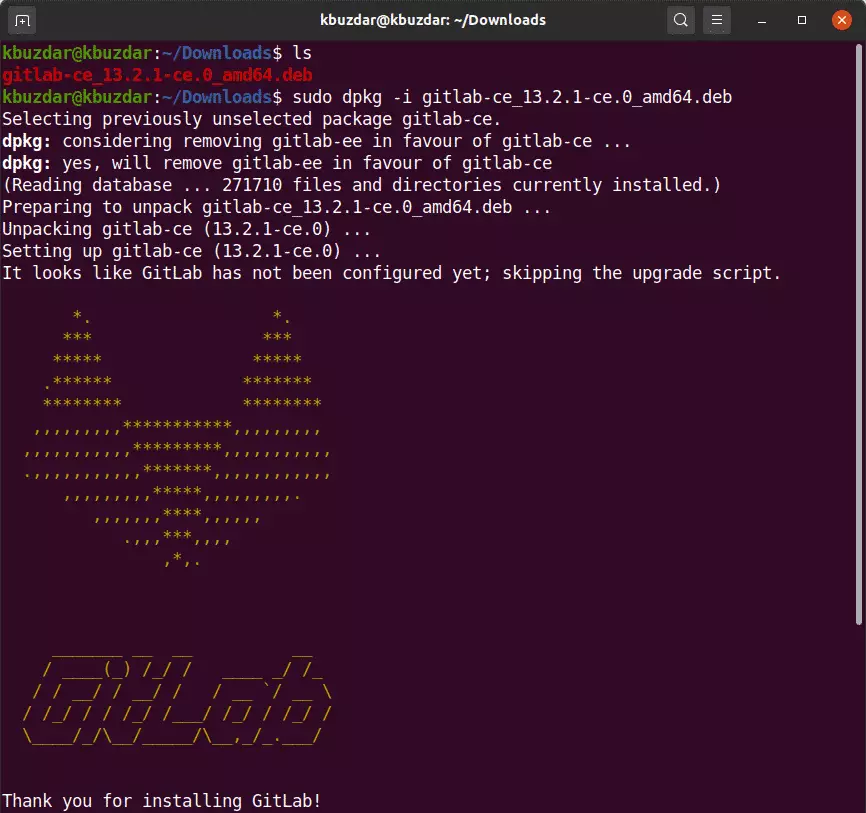 Ynstallearje GitLab op Ubuntu 20.04 8396_6