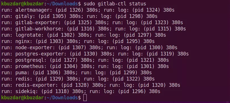 Ubuntu 20.04 پر GitLab انسٹال کریں۔ 8396_9