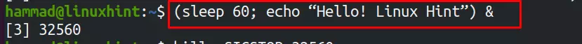 Linux හි sigstop සංඥාව භාවිතයෙන් ක්‍රියාවලිය නවත්වන්නේ කෙසේද? 8425_6