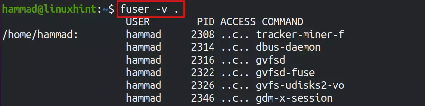 Hvernig á að nota fuser skipun í Linux 8430_4