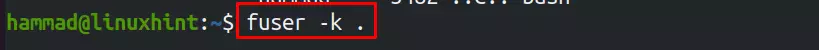 Hvernig á að nota fuser skipun í Linux 8430_6