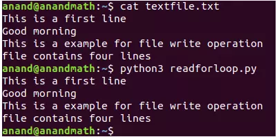 Gestionarea fișierelor Python 8469_13