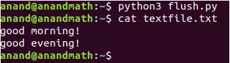 Gestionarea fișierelor Python 8469_21
