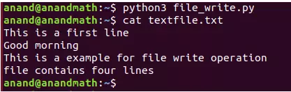 Pagdumala sa File sa Python 8469_3