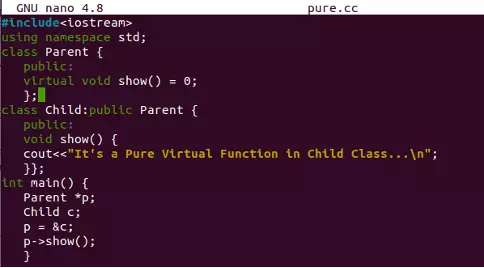 Gryna virtuali funkcija C++ 8496_2
