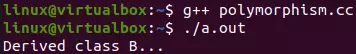 C++ の例におけるポリモーフィズム 8505_10