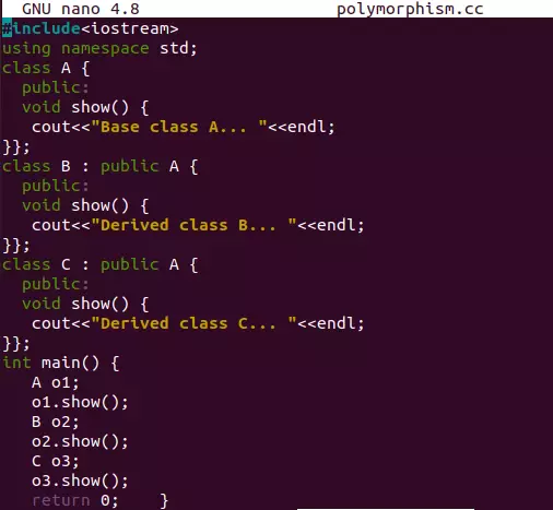 Polimorfiżmu f'C++ Eżempji 8505_7