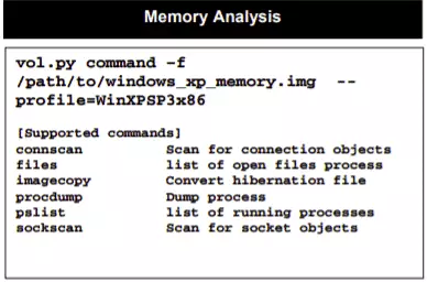 Sans Investigative Forensics Toolkit (SIFT) 8563_7