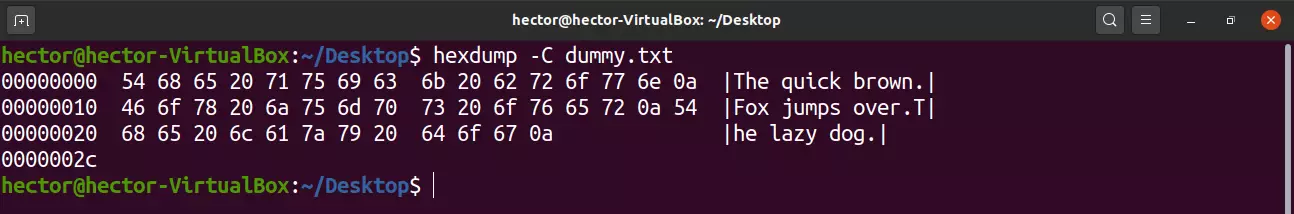 Hoe kinne jo hexdump-kommando brûke yn Linux? 8582_4