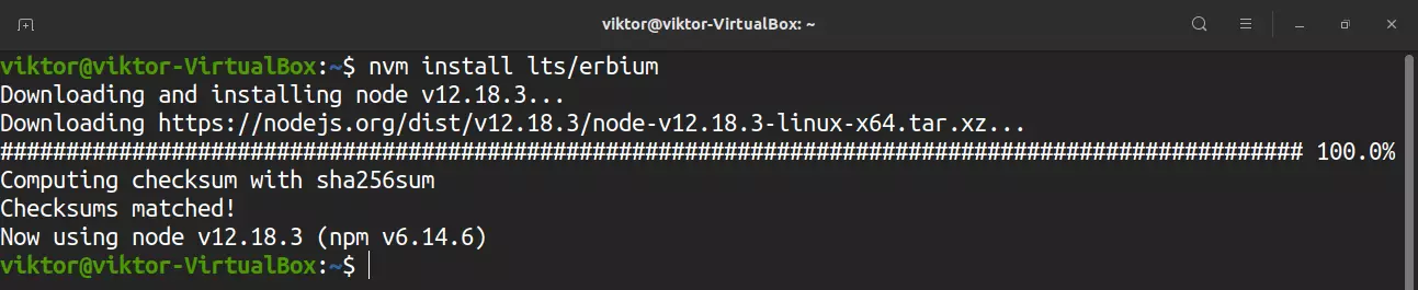 Įdiekite ir naudokite Node.js Ubuntu 20.04 8593_10