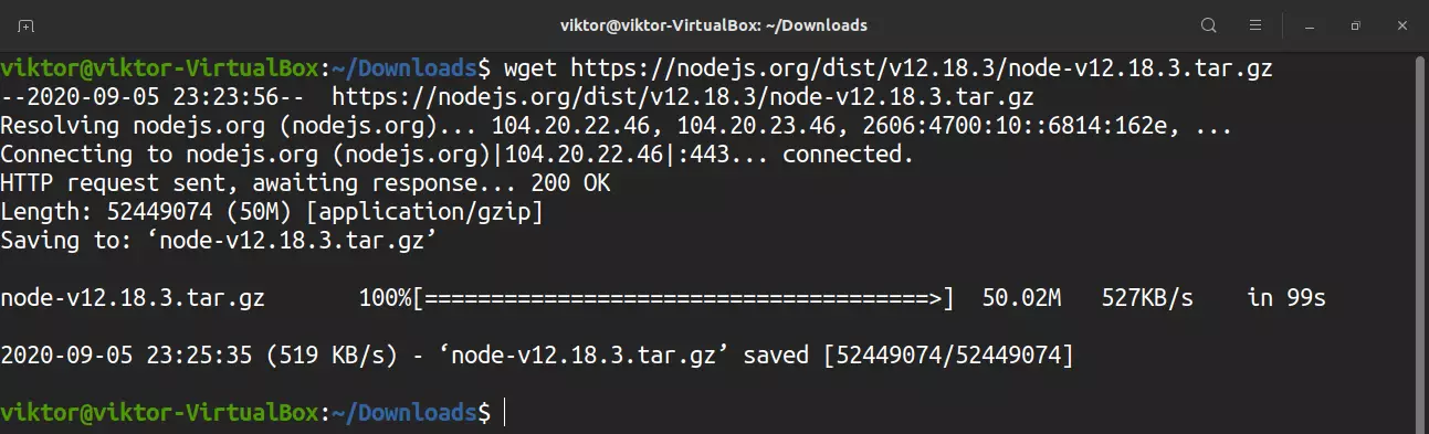 Ubuntu 20.04లో Node.jsని ఇన్స్టాల్ చేసి ఉపయోగించండి 8593_19