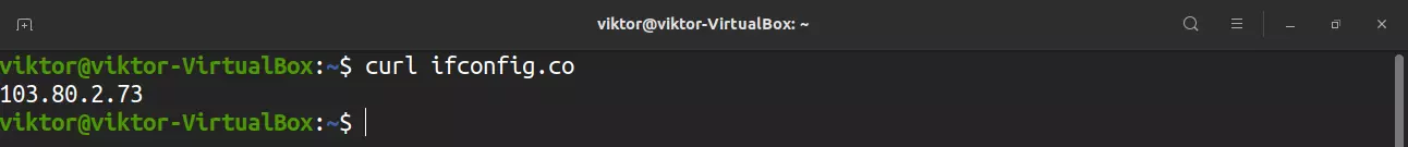 Kumuha ng Public IP mula sa Terminal sa Ubuntu 20.04 8594_10