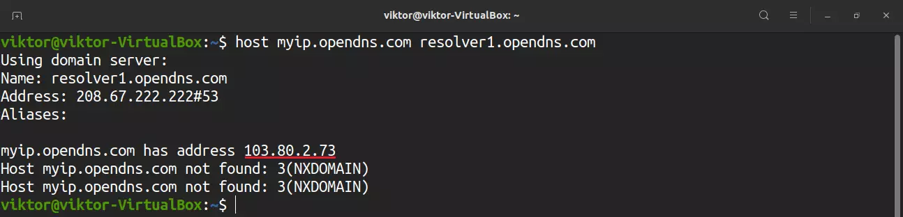 Kumuha ng Public IP mula sa Terminal sa Ubuntu 20.04 8594_2