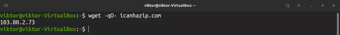 Pezani Public IP kuchokera ku Terminal pa Ubuntu 20.04 8594_6