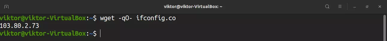 Kumuha ng Public IP mula sa Terminal sa Ubuntu 20.04 8594_7