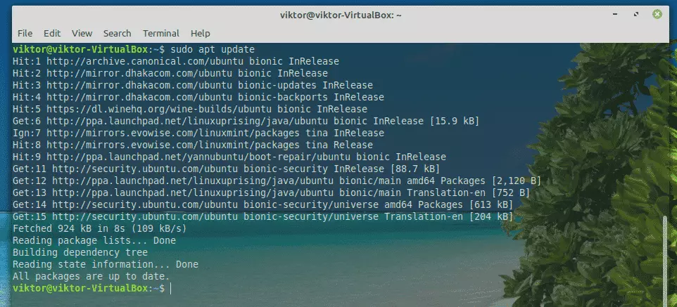 Seinn minecraft le Linux Mint 8615_10