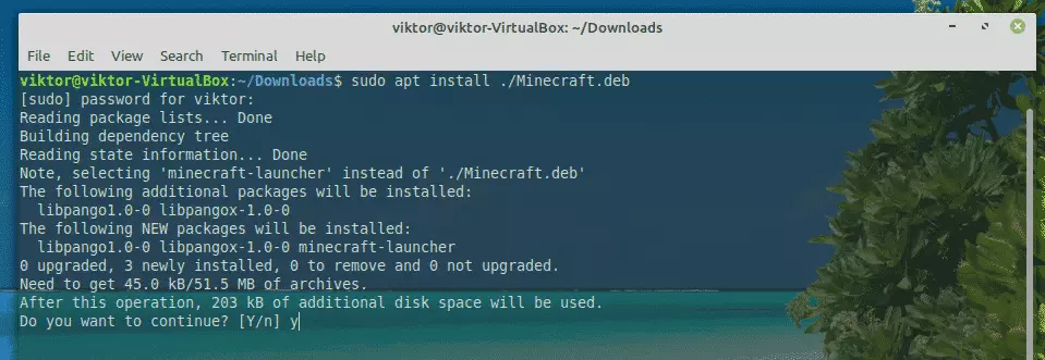 Jwe Minecraft ak Linux Mint 8615_17