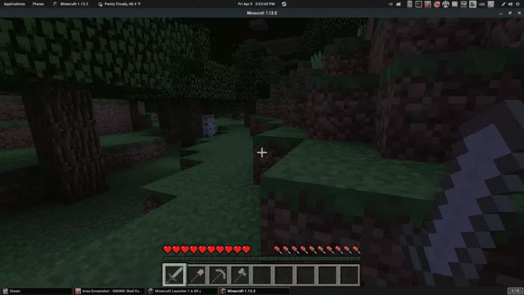 كيفية تثبيت Minecraft وتشغيله على Ubuntu 8616_5